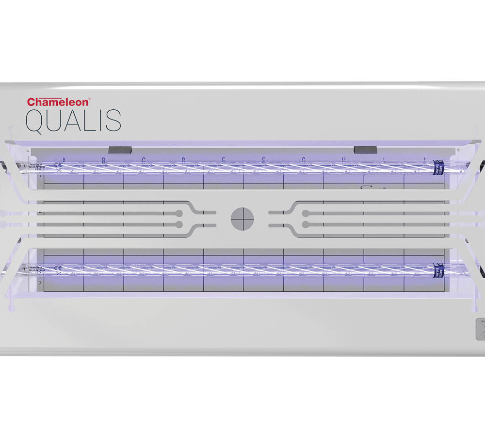 Chameleon Qualis LED S/S 1ST