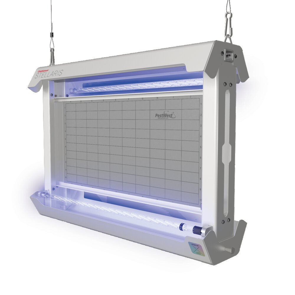 Chameleon® Stellaris Edelstahl LED